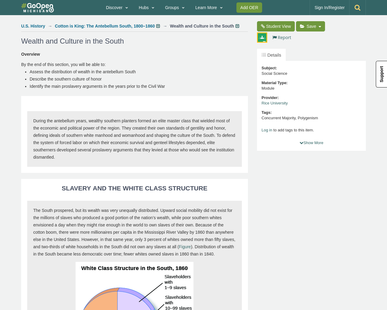 U.S. History, Cotton is King: The Antebellum South, 1800–1860, Wealth ...